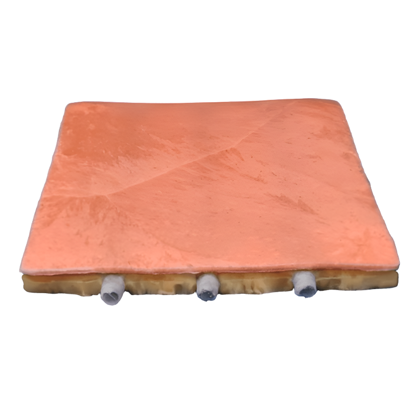 Deep and Peripheral Embedded Veins Venipuncture Model – MedTech