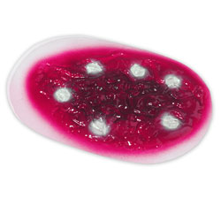 Large Sepsis Wound Stick-On – MedTech